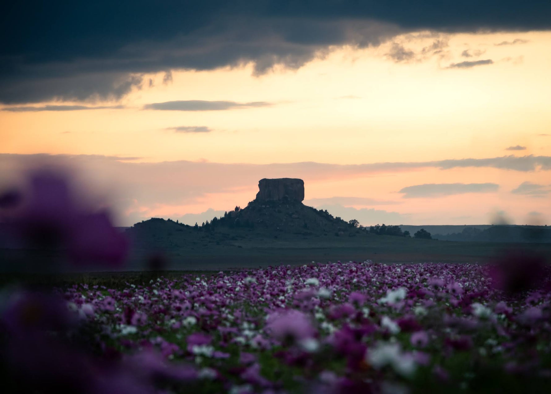 Maluti Military Fair